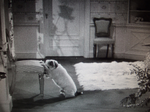 The Awful Truth …the matter of Mr. Smith – Once upon a screen…