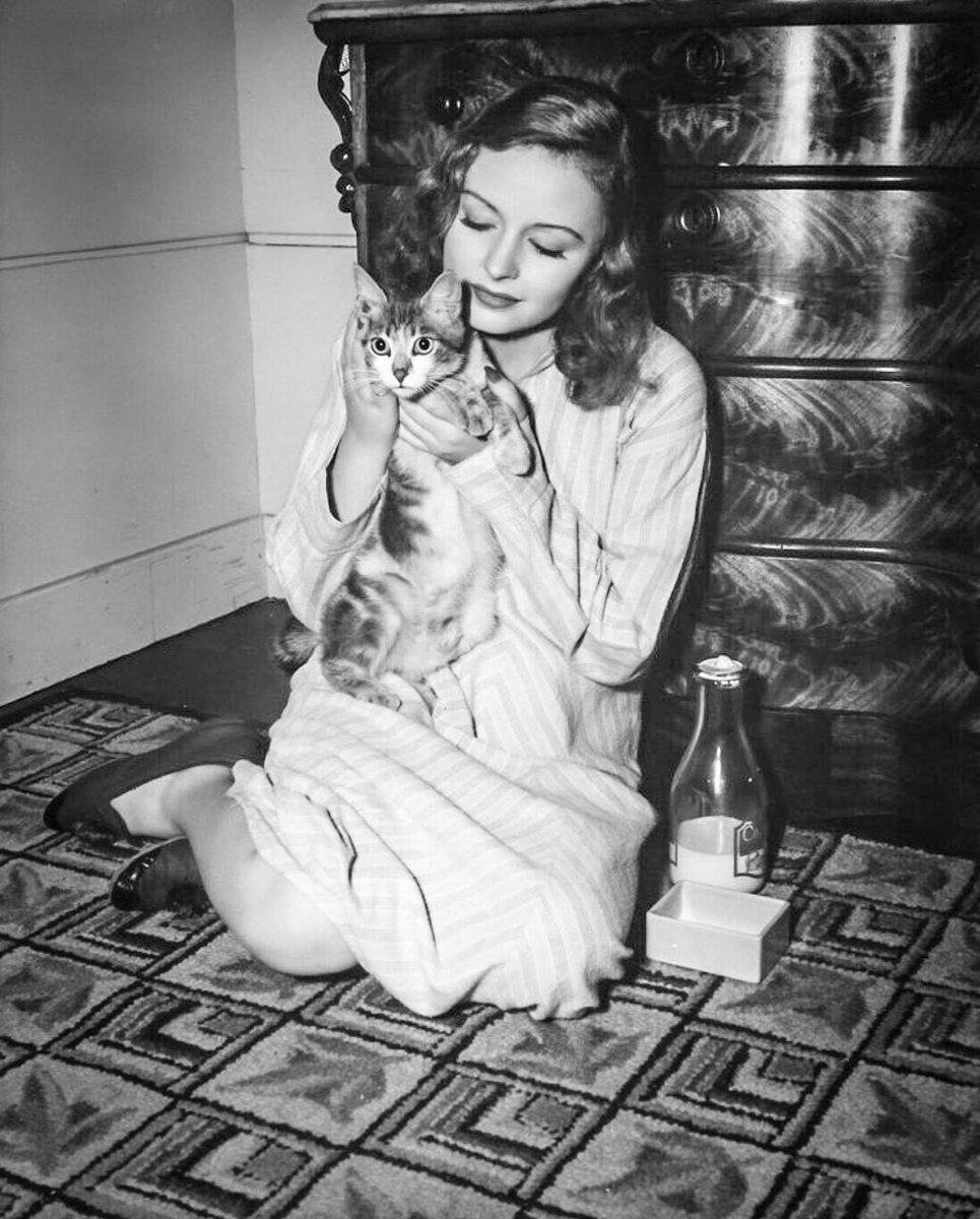 Remembering Donna Reed on Her Centennial – Once upon a screen…